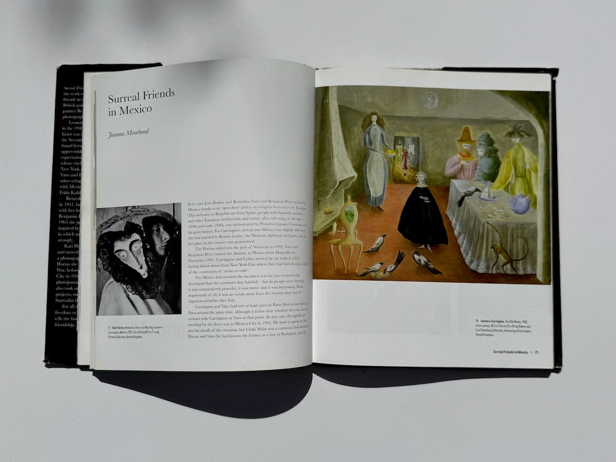Surreal Friends: Leonora Carrington, Remedios Varo and Kati Horna ...